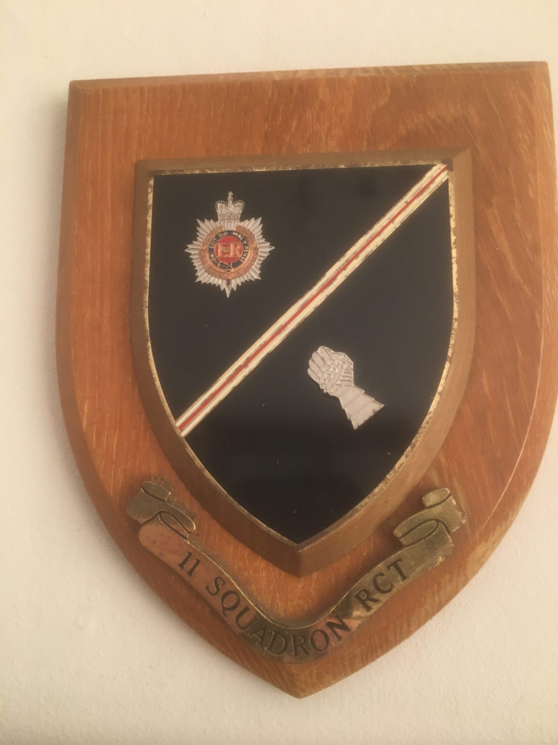 11 SQN RCT – The RASC and RCT Pass Out Photo Archive