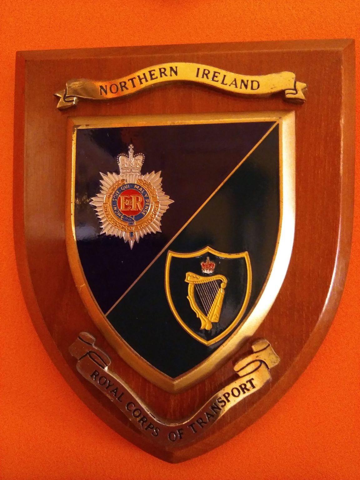 Northern Ireland RCT – The RASC and RCT Pass Out Photo Archive